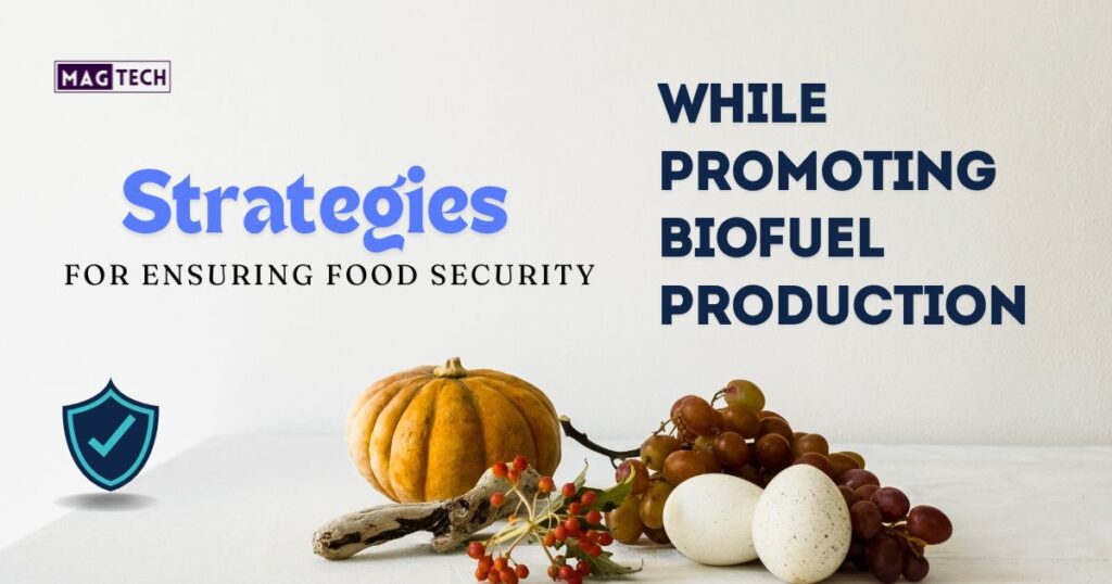 Ensuring Food Security While Promoting Biofuel Production