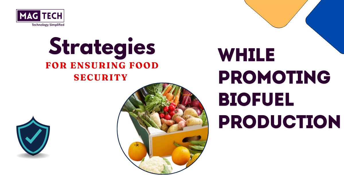 Ensuring Food Security While Promoting Biofuel Production
